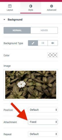 Elementor Pro & Parallax Motion Effects (Now Easier Than Ever) - Mad ...